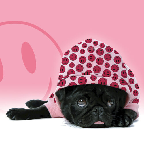 Style Guides | emoji